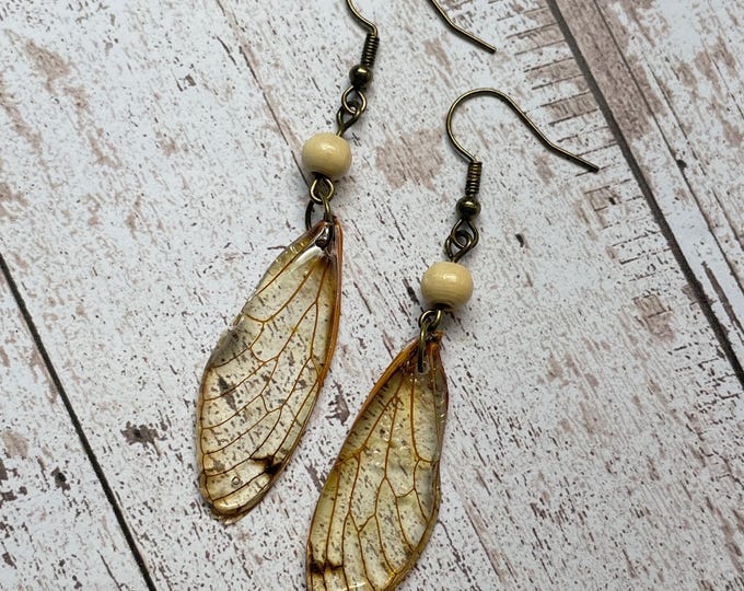 Cicada Wing Earrings, Cicada, Real Insects, Lightweight, Translucent ...