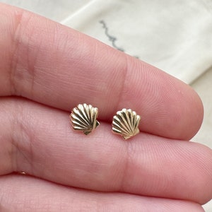 Shell Stud Earrings, Tiny 14K Gold Filled Shell Earrings, Minimalist ...