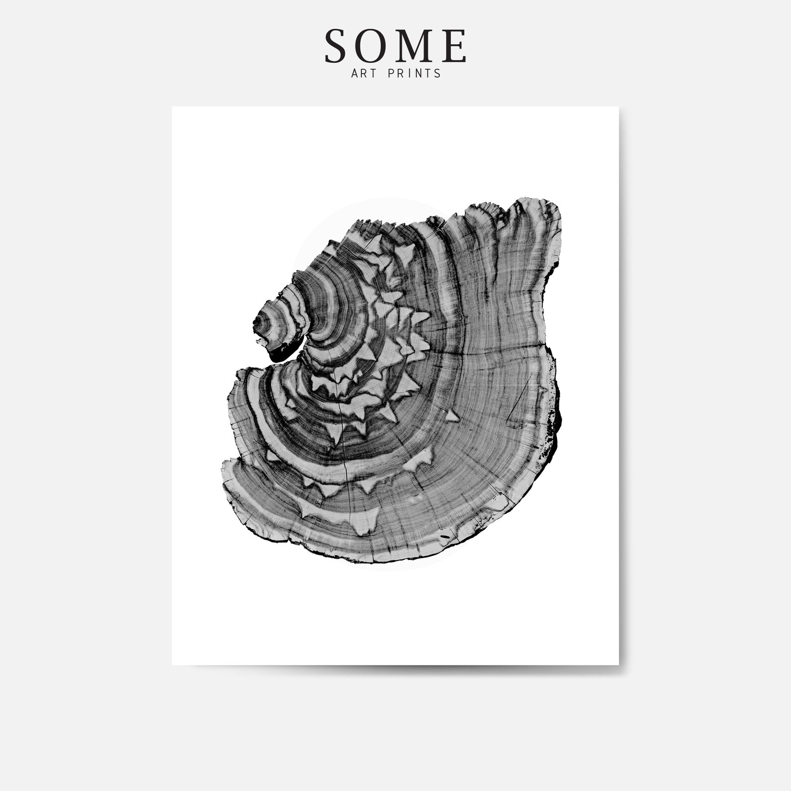 Tree Ring Print . Rustic Wood Prints . Tree Ring Wall Art . Black and ...