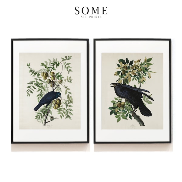 Crow Art Print - Etsy