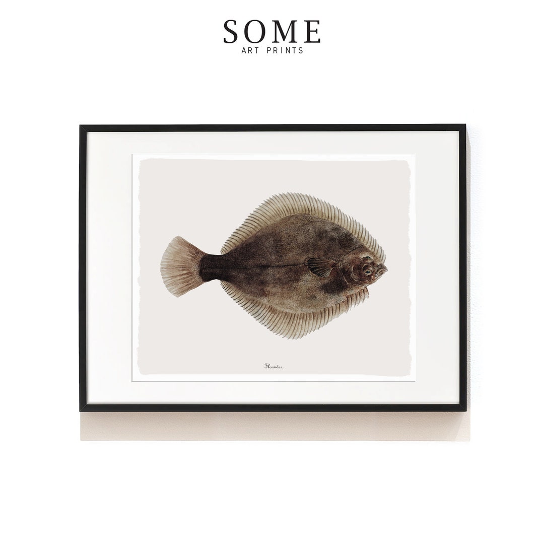 Flounder Print . Kitchen Art Print . Nautical Print . Fishing Gift ...