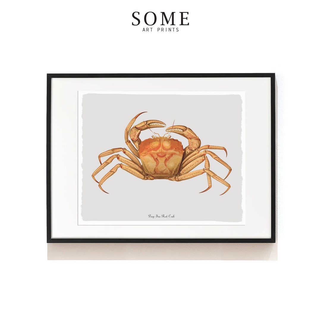 Crab Wall Decor . Deep-sea Red Crab Print . Kitchen Wall Decor . Fish ...