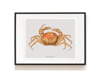 Red Crab Print | Etsy