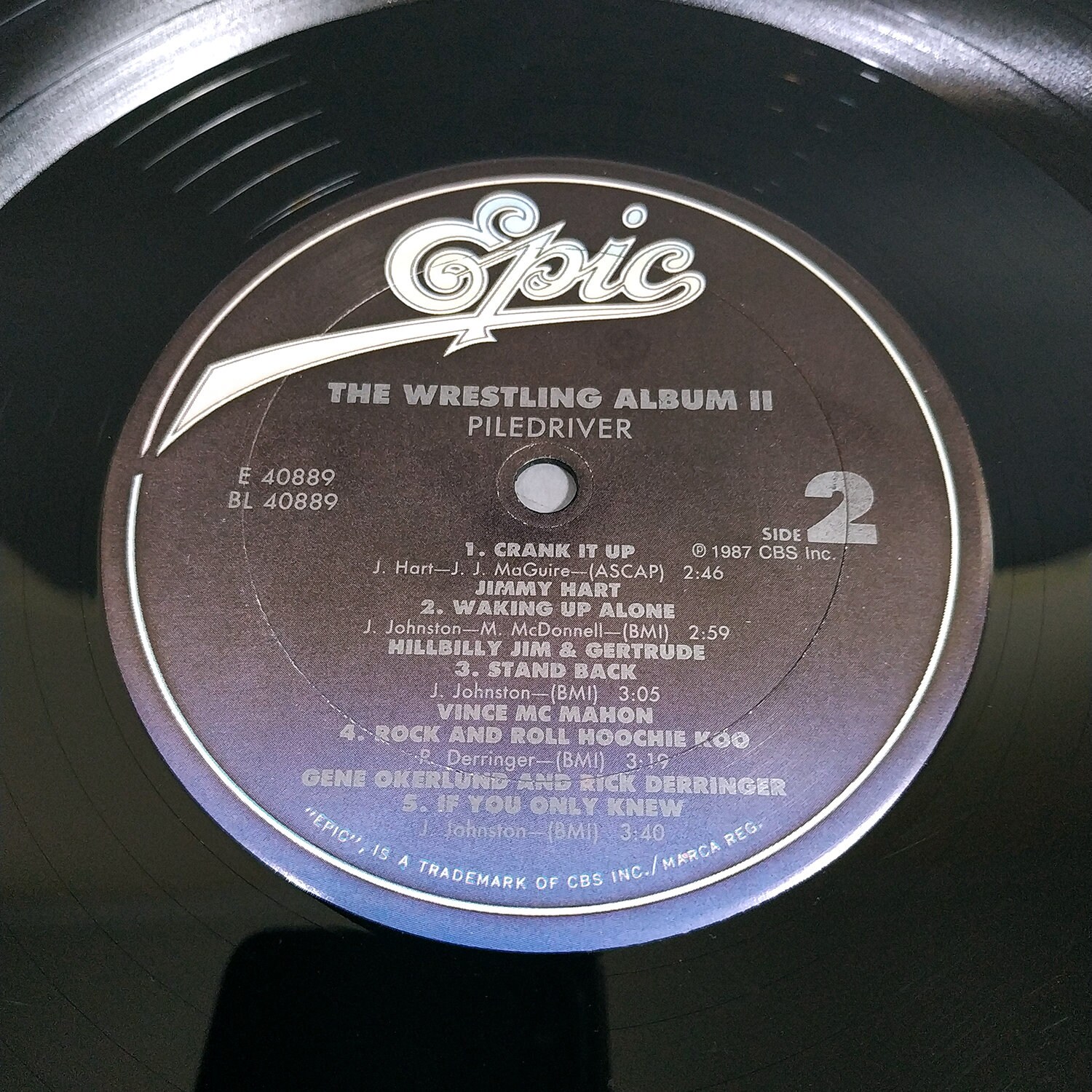 Rare PILEDRIVER. the Wrestling Album II. 1987 CBS Inc. Epic Records - Etsy