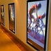 Premium Back Lit Translucent Paper Film for Light Box Artist Display ...