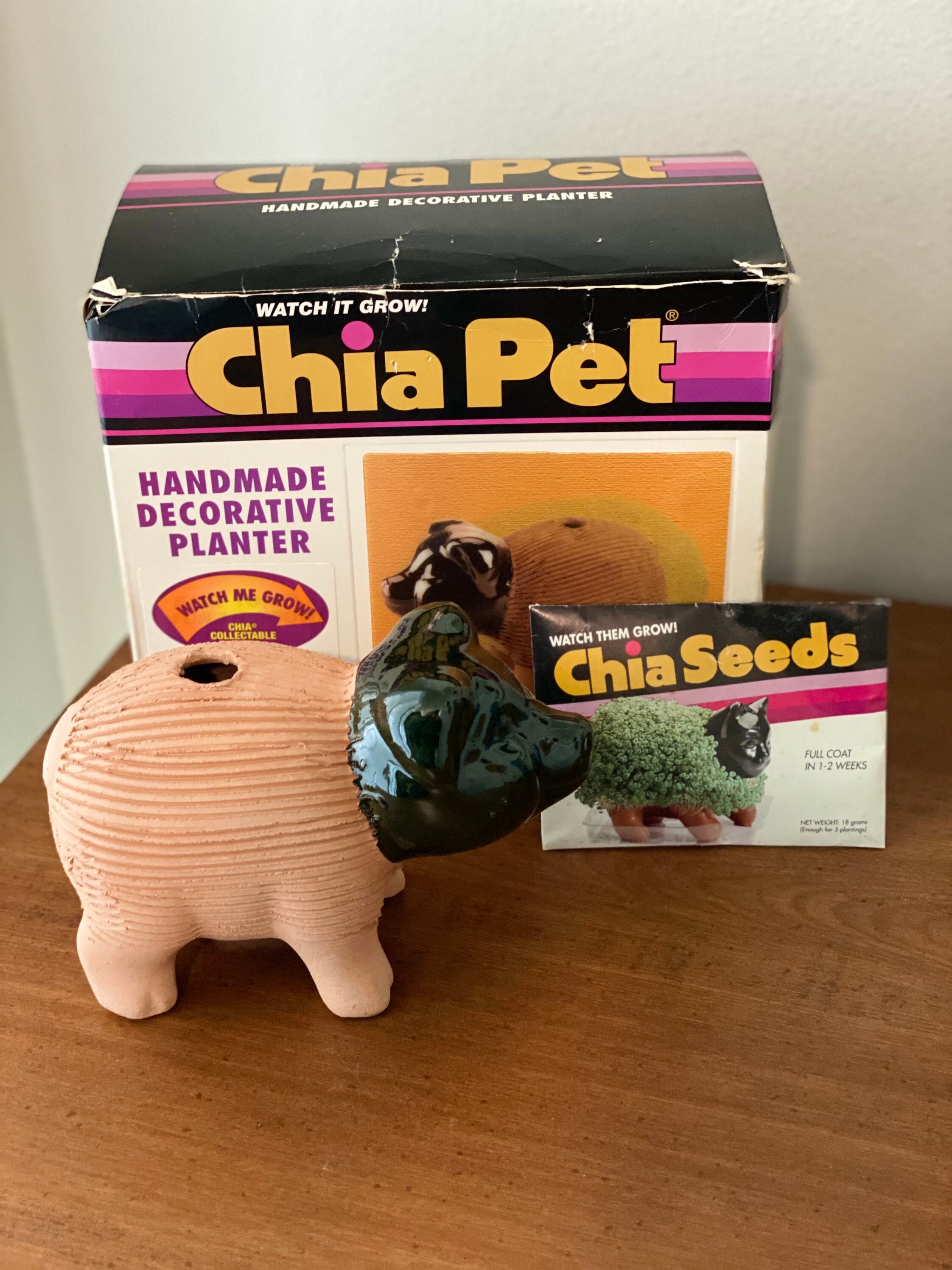 Are Chia Pets Safe For Dogs Are Chia Pets Safe For Dogs