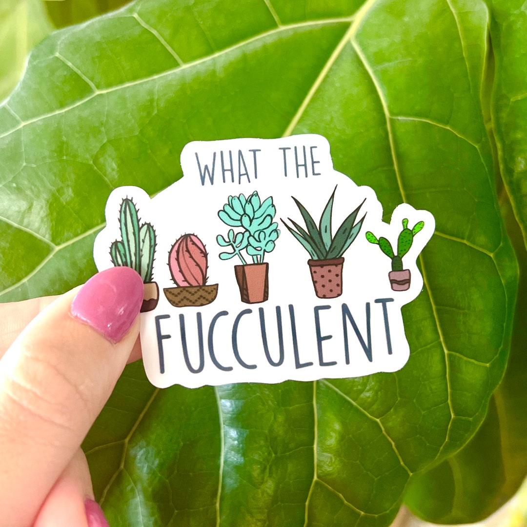 What the Fucculent Plant Funny Sticker Mug Waterproof - Etsy