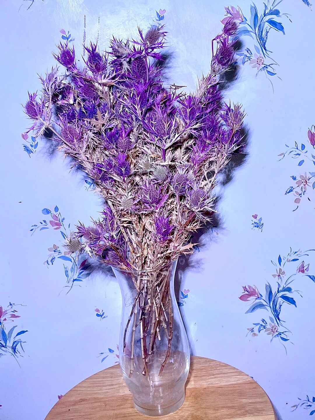 10 Stems of Dried False Purple Thistle - Etsy