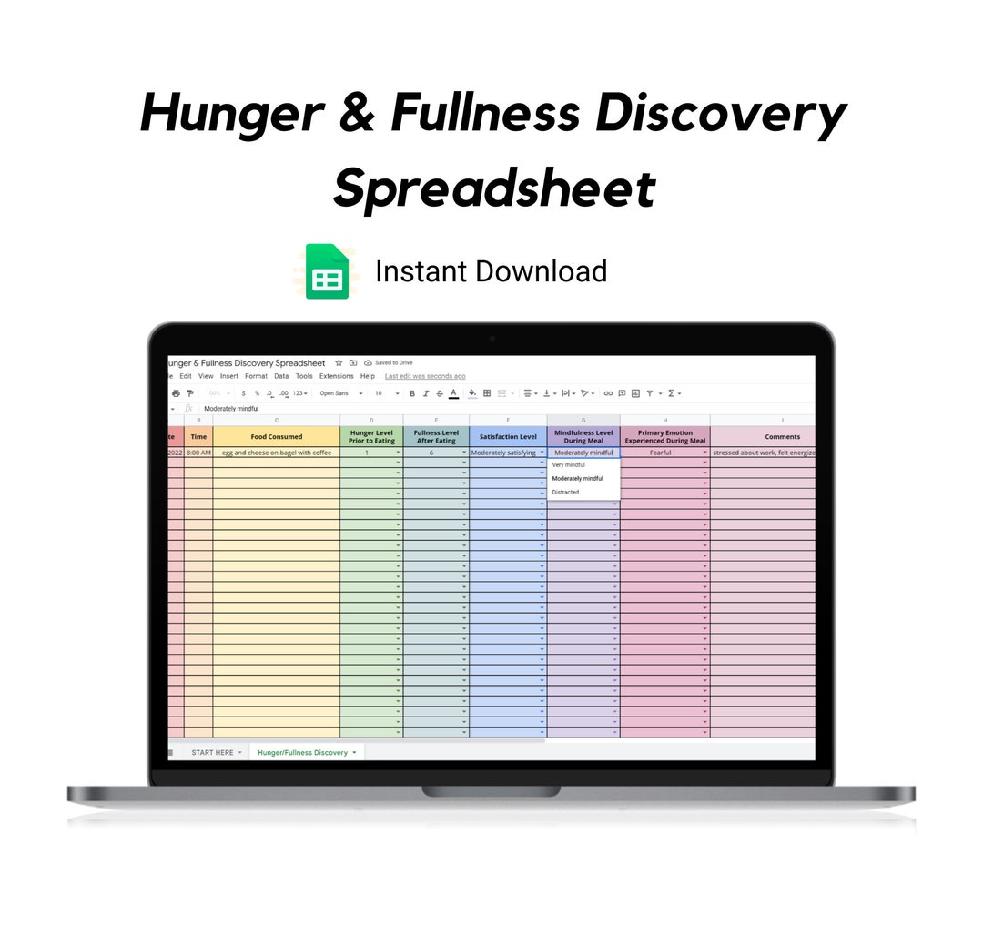 Hunger & Fullness Discovery Spreadsheet - Etsy