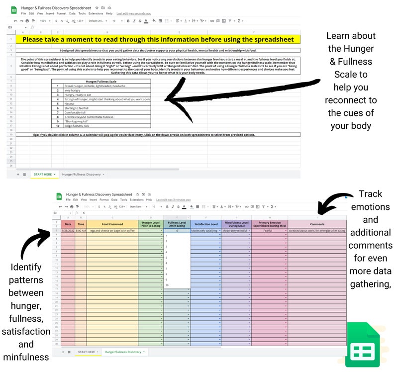 Hunger & Fullness Discovery Spreadsheet - Etsy
