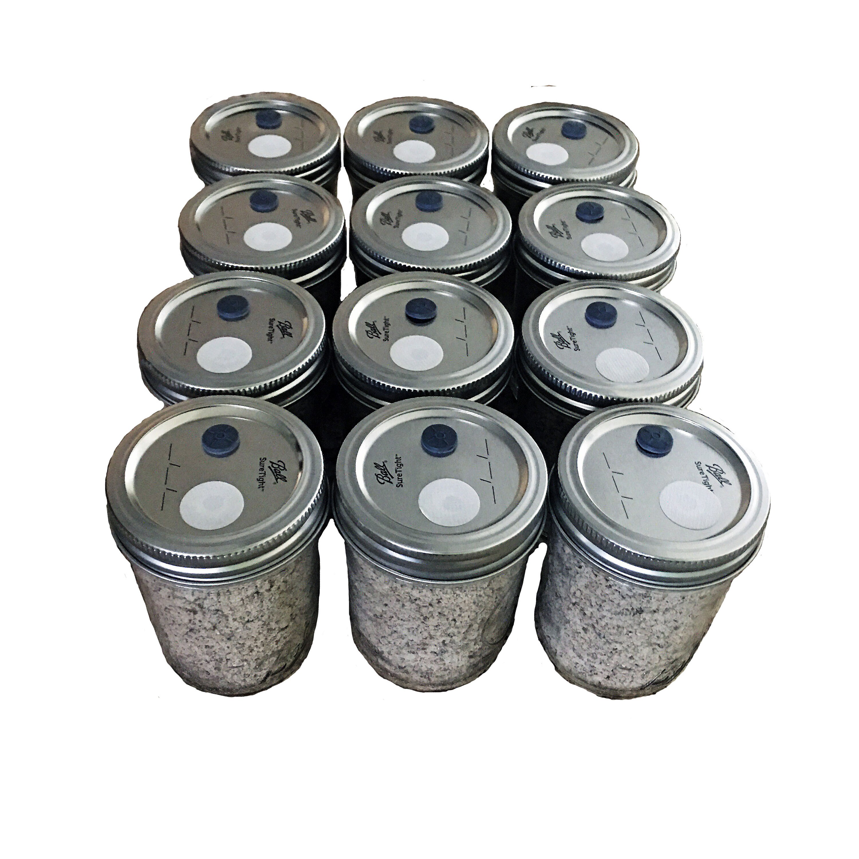 12 BRF Jars Organic With Injection Port & Filter - Etsy