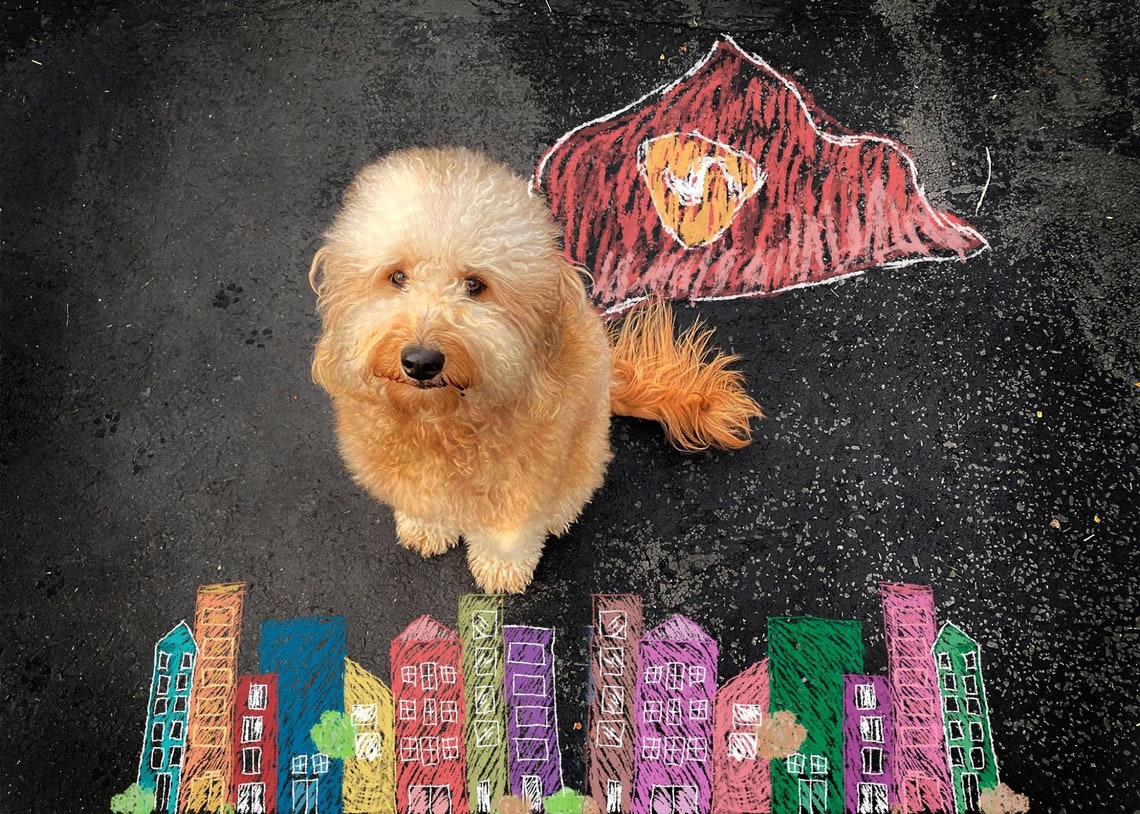 Overlays Pet's Set Sidewalk Chalk - Etsy