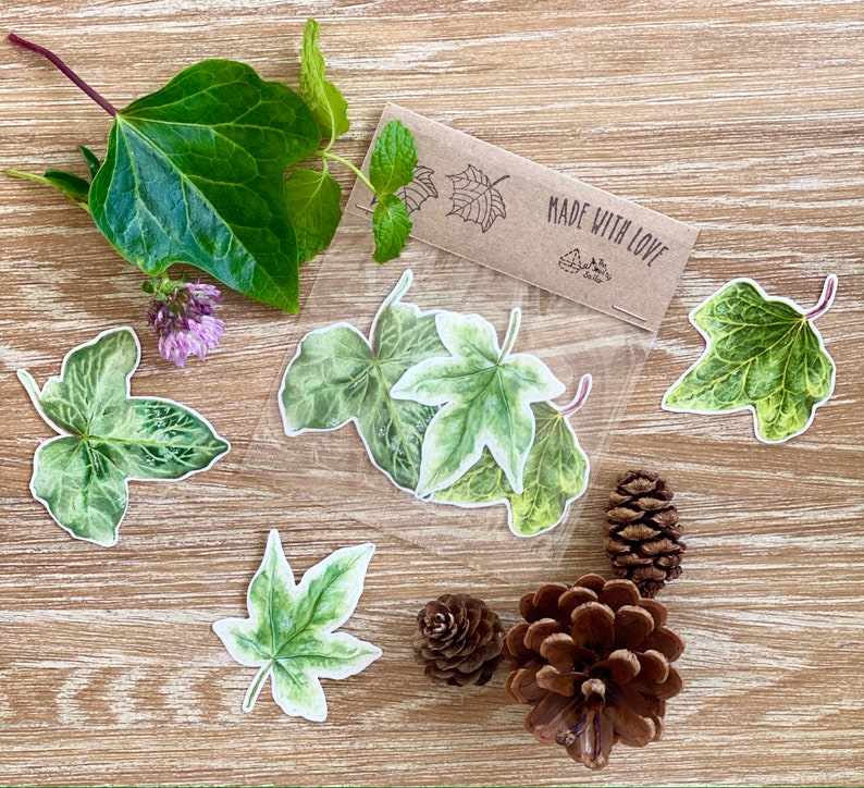 Ivy Leaves Stickers: Waterproof Botanical Decals - Set of 3 - Etsy