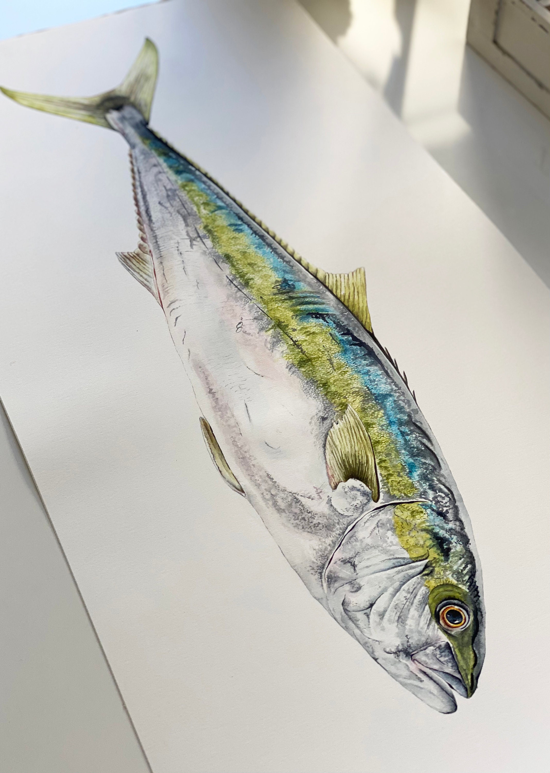 Yellowtail Kingfish Tattoos
