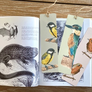 GARDEN BIRDS BOOKMARKS. Handmade, 100% Eco-friendly and Luxury ...