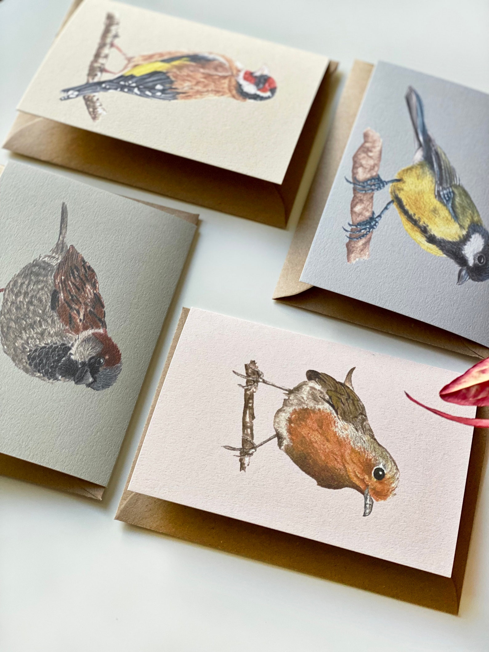 GARDEN BIRDS Greeting Cards. Handmade 100% Eco-friendly and - Etsy