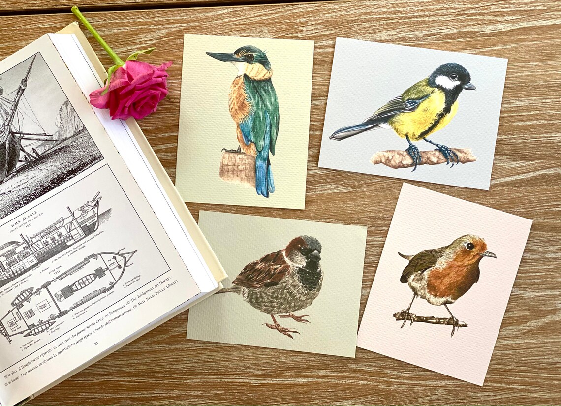 Watercolour Bird Postcards Set | Garden Birds Stationery | 100% ...