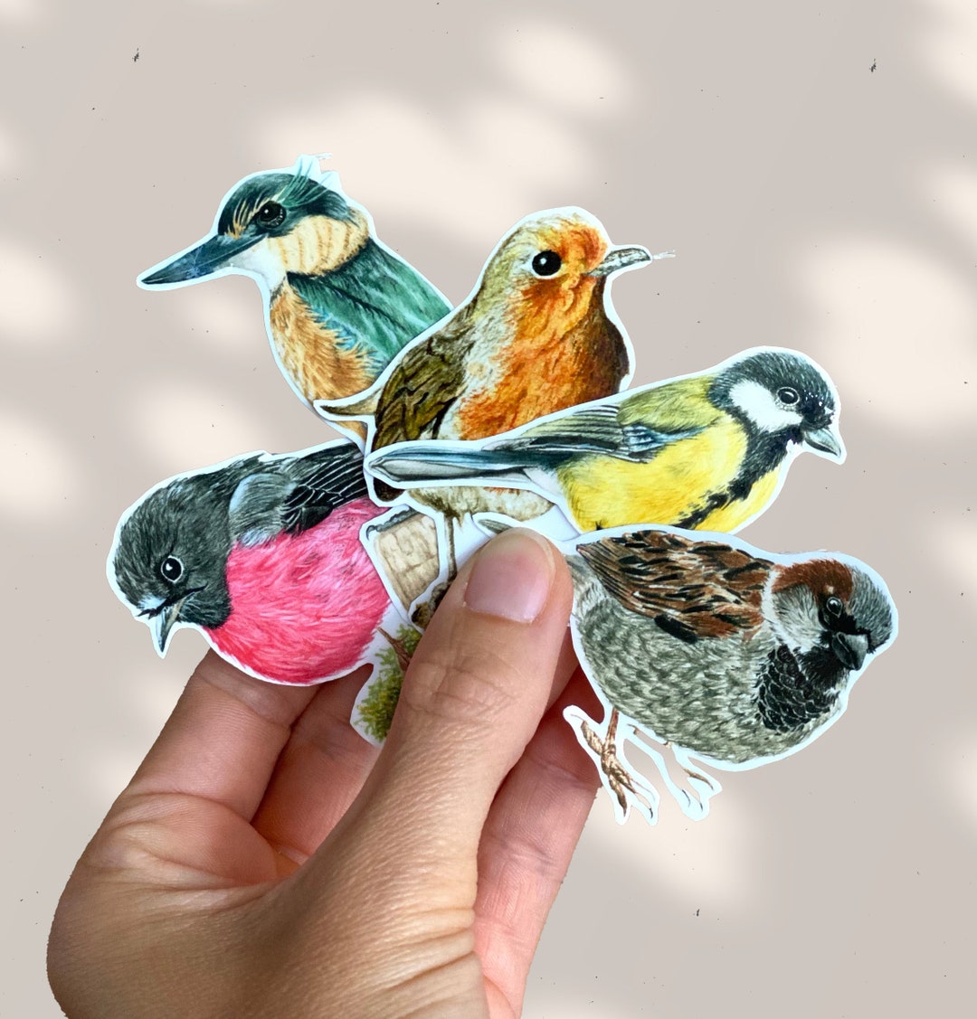 BIRDS Vinyl Stickers - Nature Sticker Pack - Laptop Stickers - Decor ...
