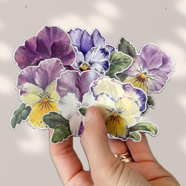 Pansy Decals - Etsy