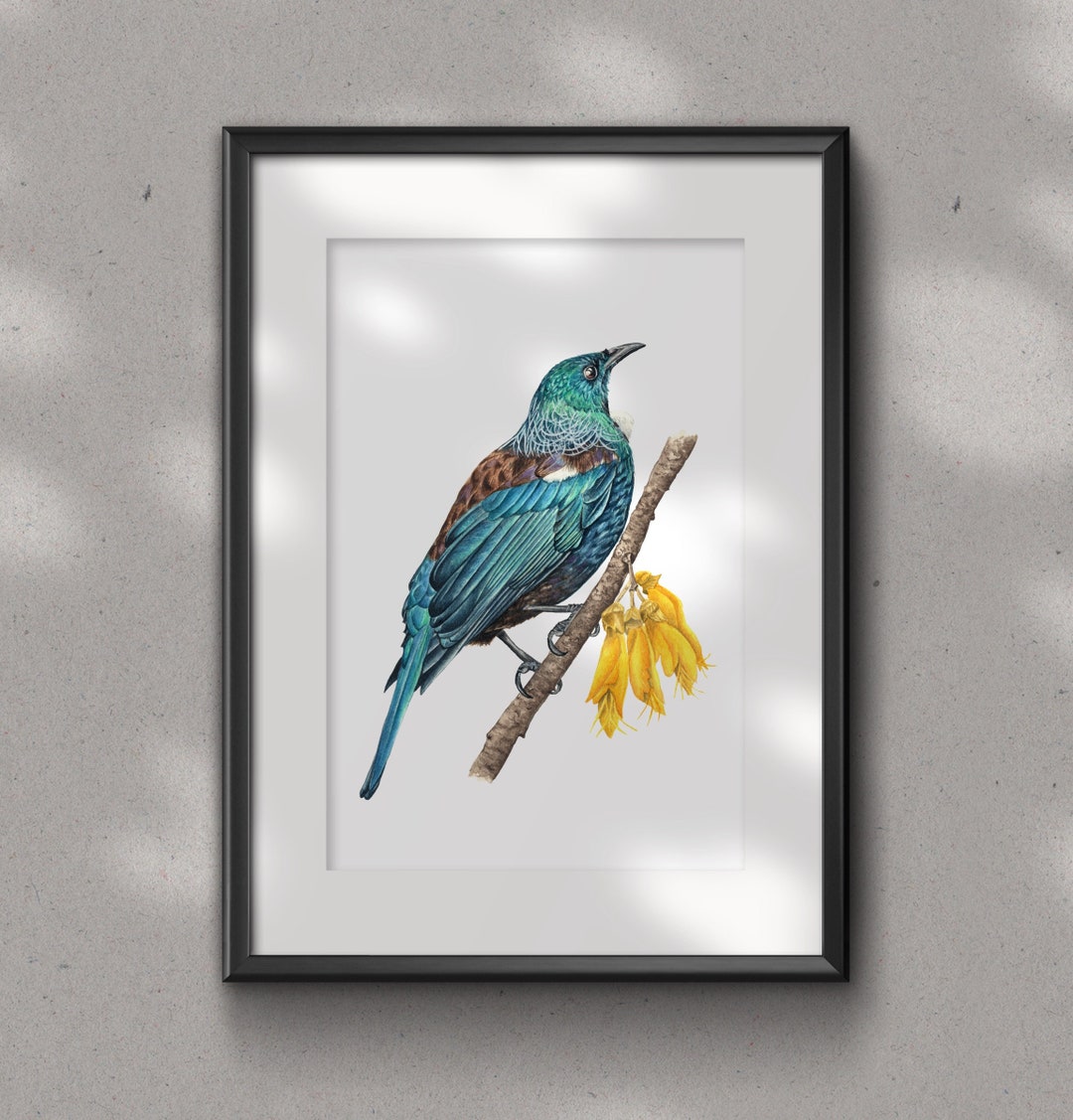 TUI Fine Art GLICEE PRINT - Bird Art Print - Ornithology- Watercolour ...