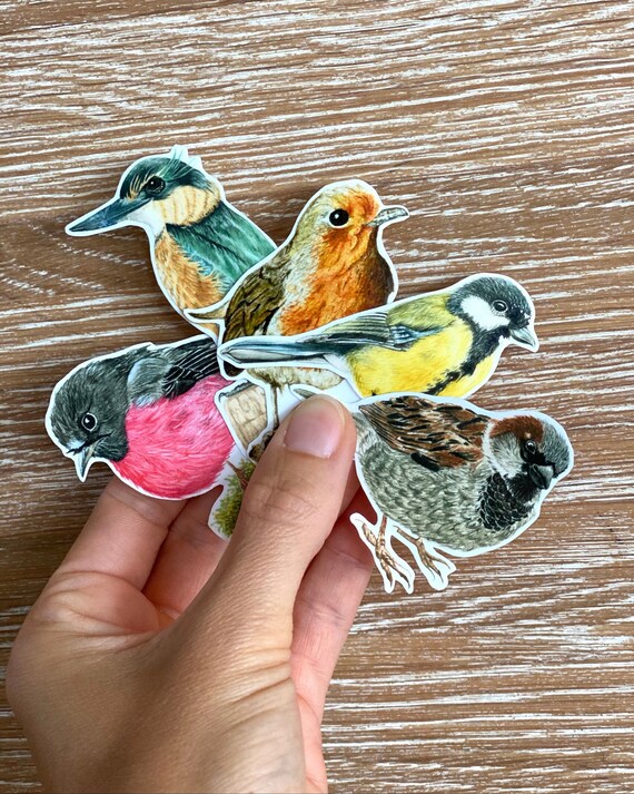 BIRDS vinyl stickers Nature sticker pack laptop stickers | Etsy