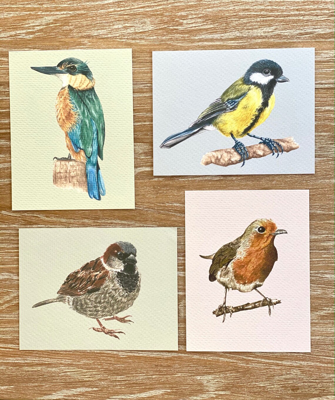 Watercolour Bird Postcards Set | Garden Birds Stationery | 100% ...