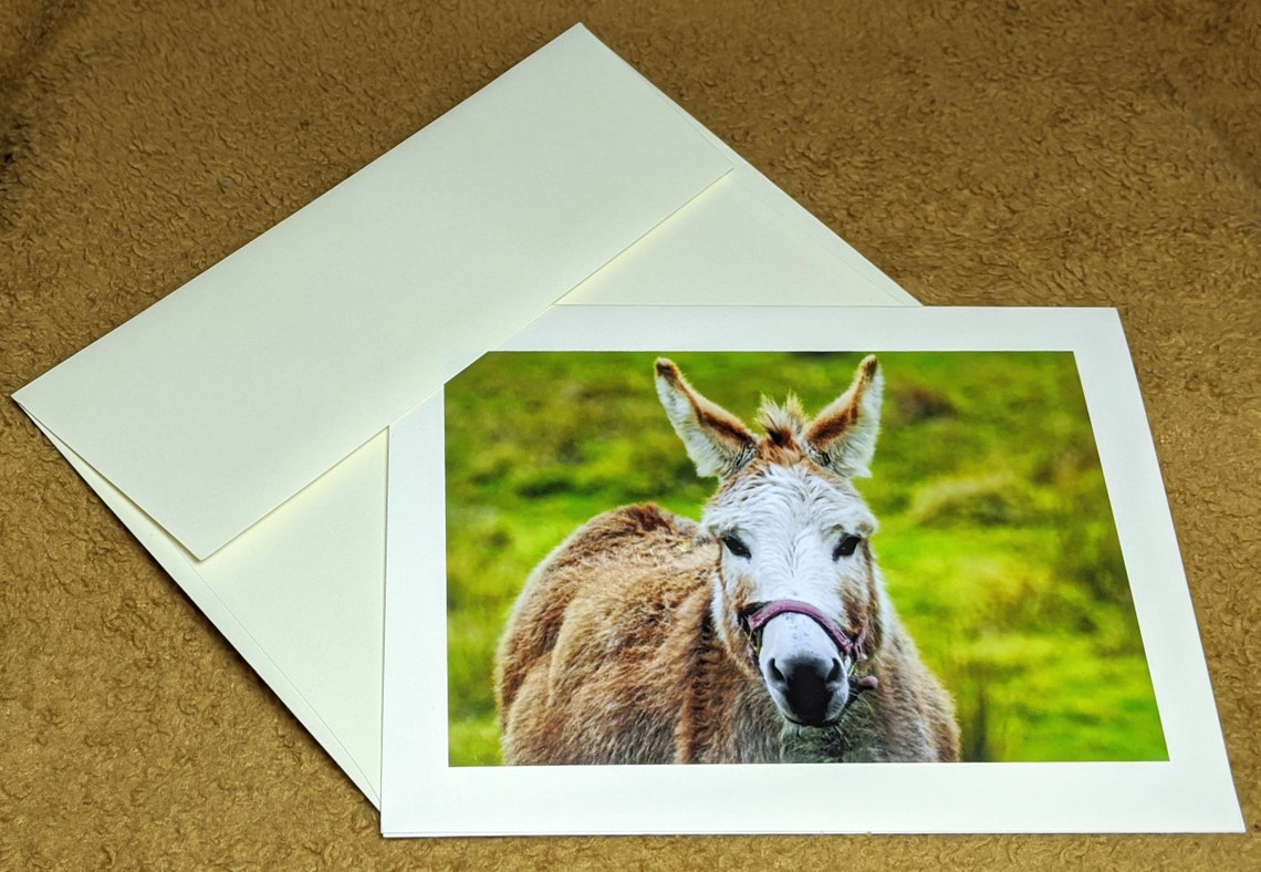 On the Farm #3 - Photo Greeting Cards - Etsy
