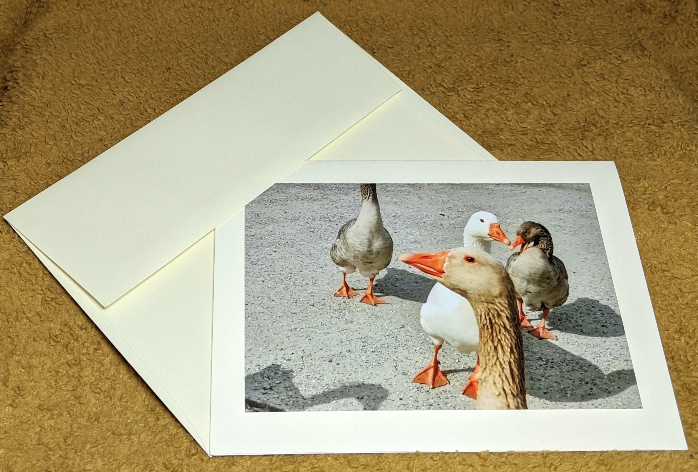 On the Farm 3 Photo Greeting Cards - Etsy