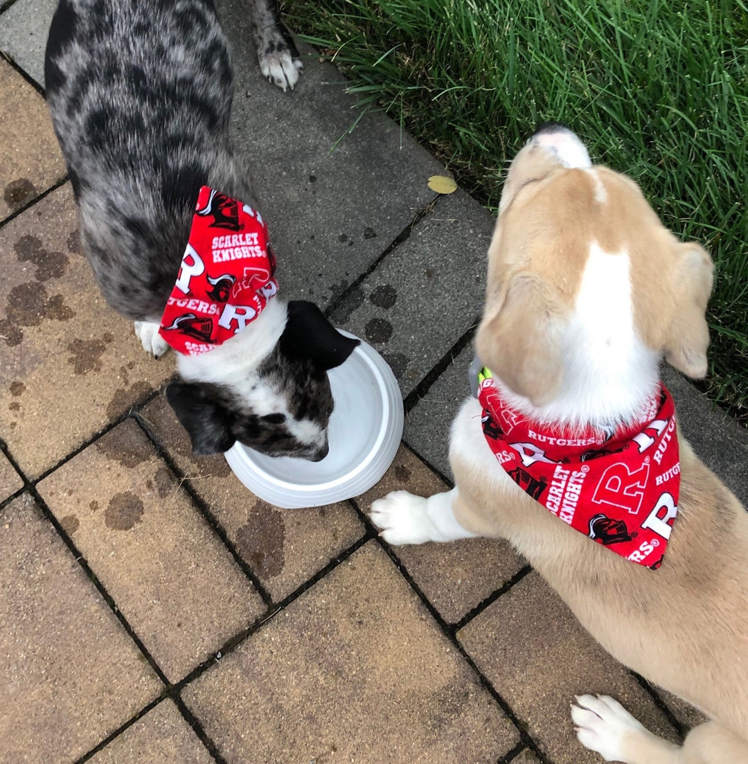 Rutgers University Dog Bandana, Over the Collar Pet Bandana, RU ...