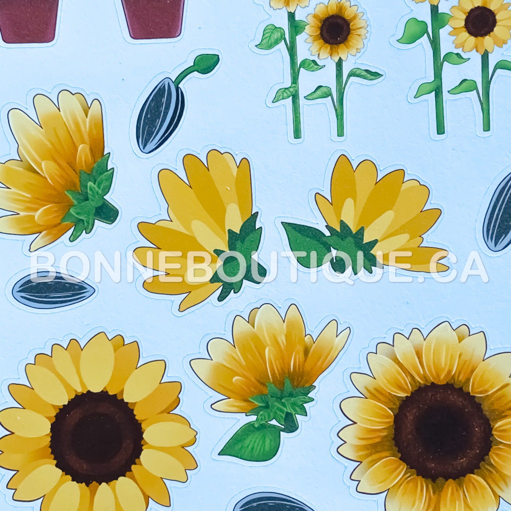 Sunflower Garden Stickers 2 kinds of Hand Drawn Sunflowers | Etsy