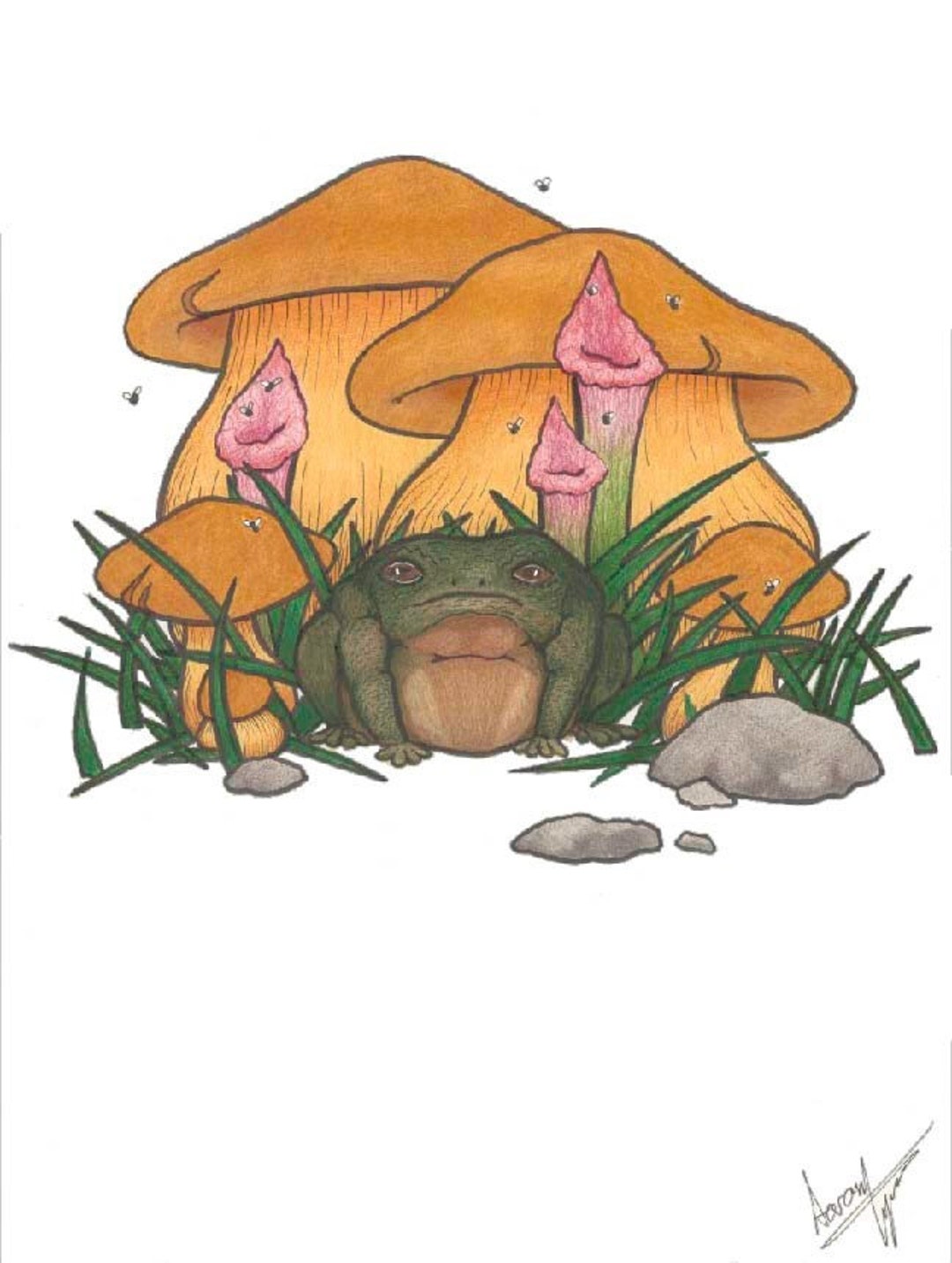 Flytraps - Trippy Toad in Swamp Giclée Art Print, Psychedelic Flytrap ...