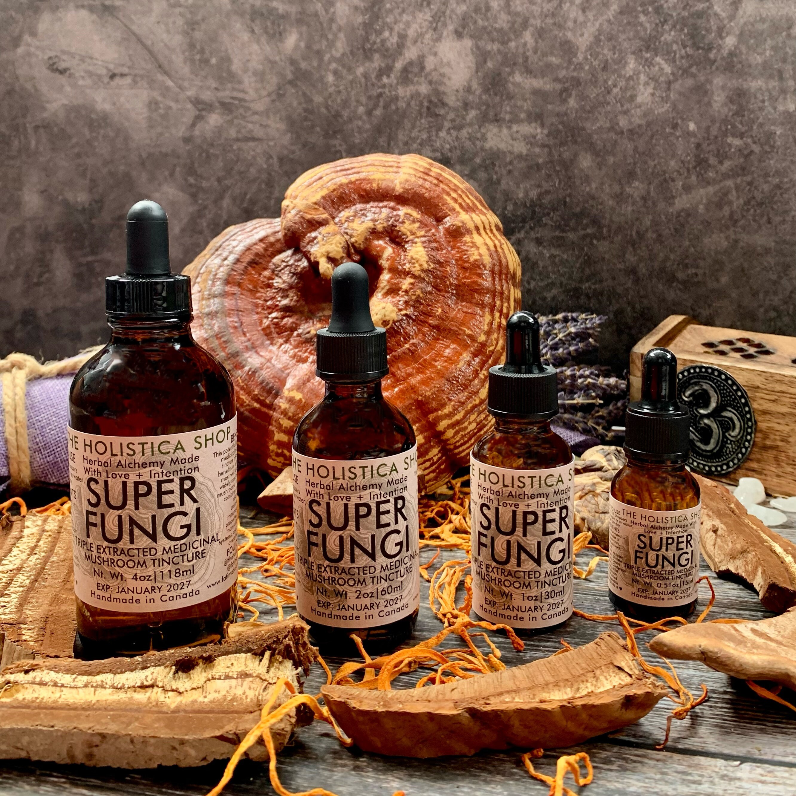 Super Fungi | Triple Extracted Medicinal Mushroom Tincture | Immunity ...