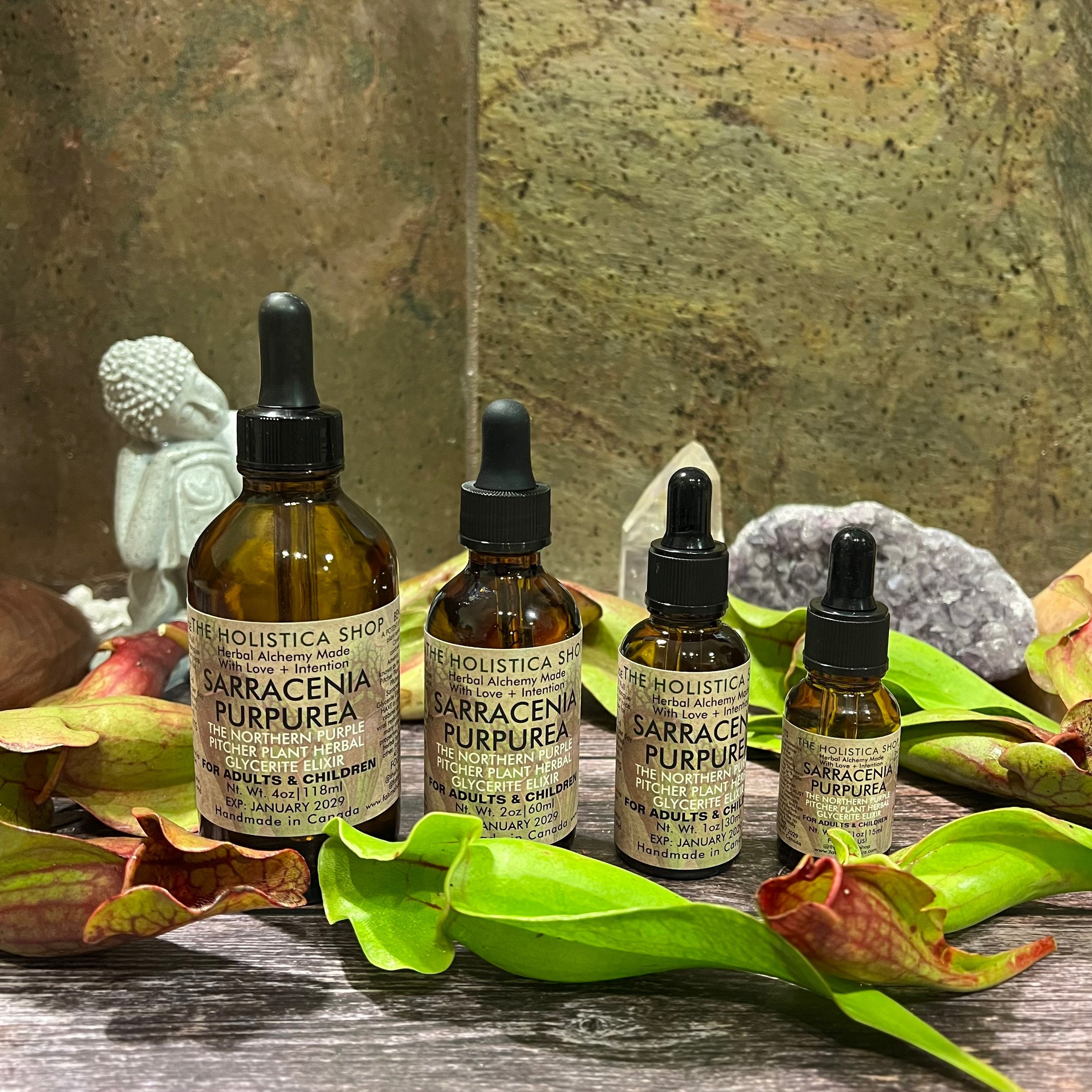 The Ultimate Defence | Double Extracted Spike Protein Defence Herbal ...