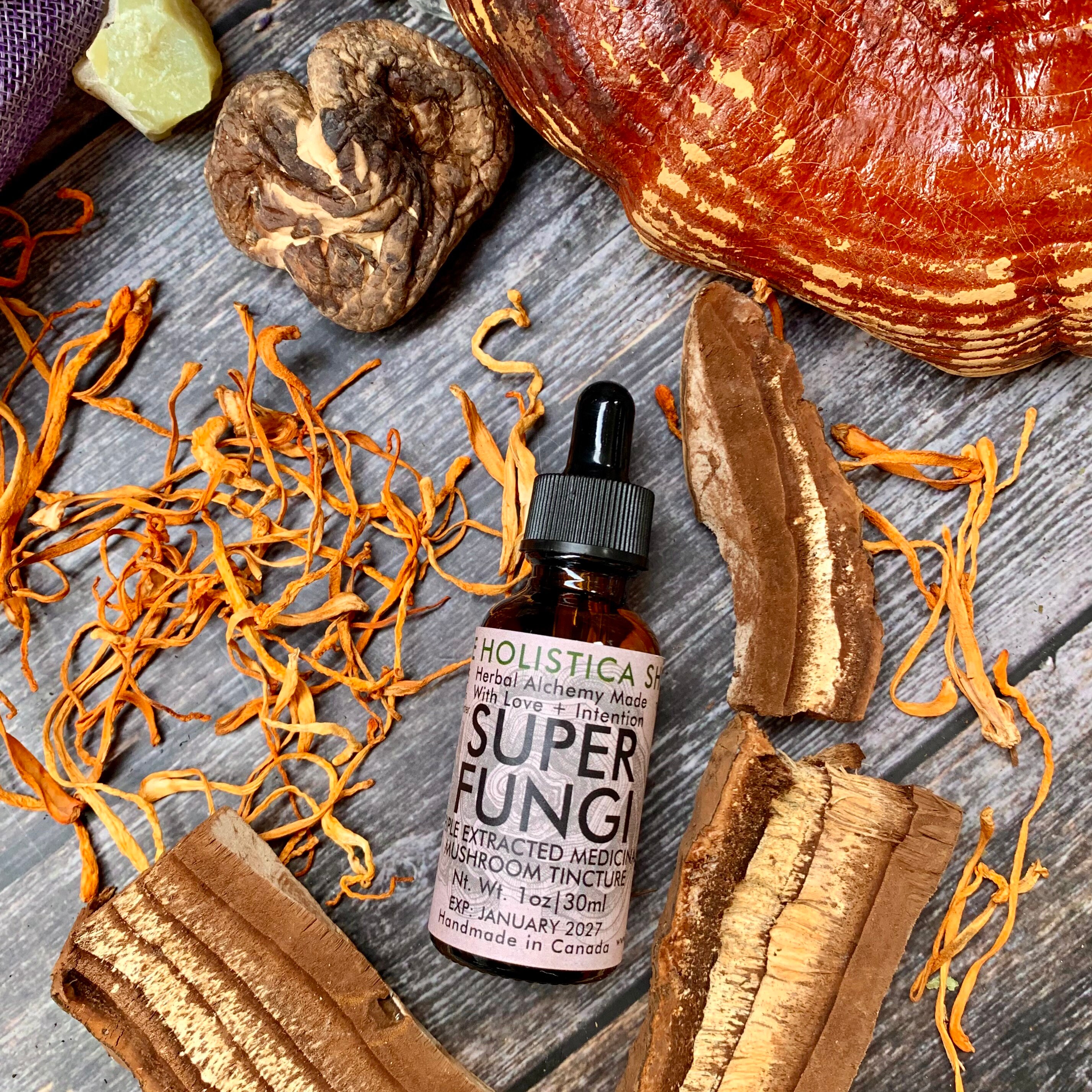 Super Fungi | Triple Extracted Medicinal Mushroom Tincture | Immunity ...
