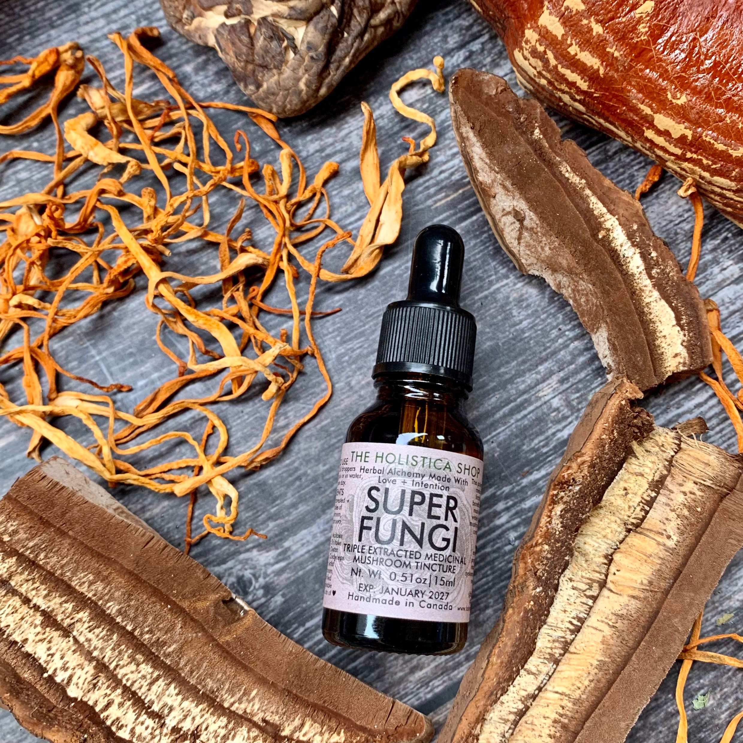 Super Fungi | Triple Extracted Medicinal Mushroom Tincture | Immunity ...