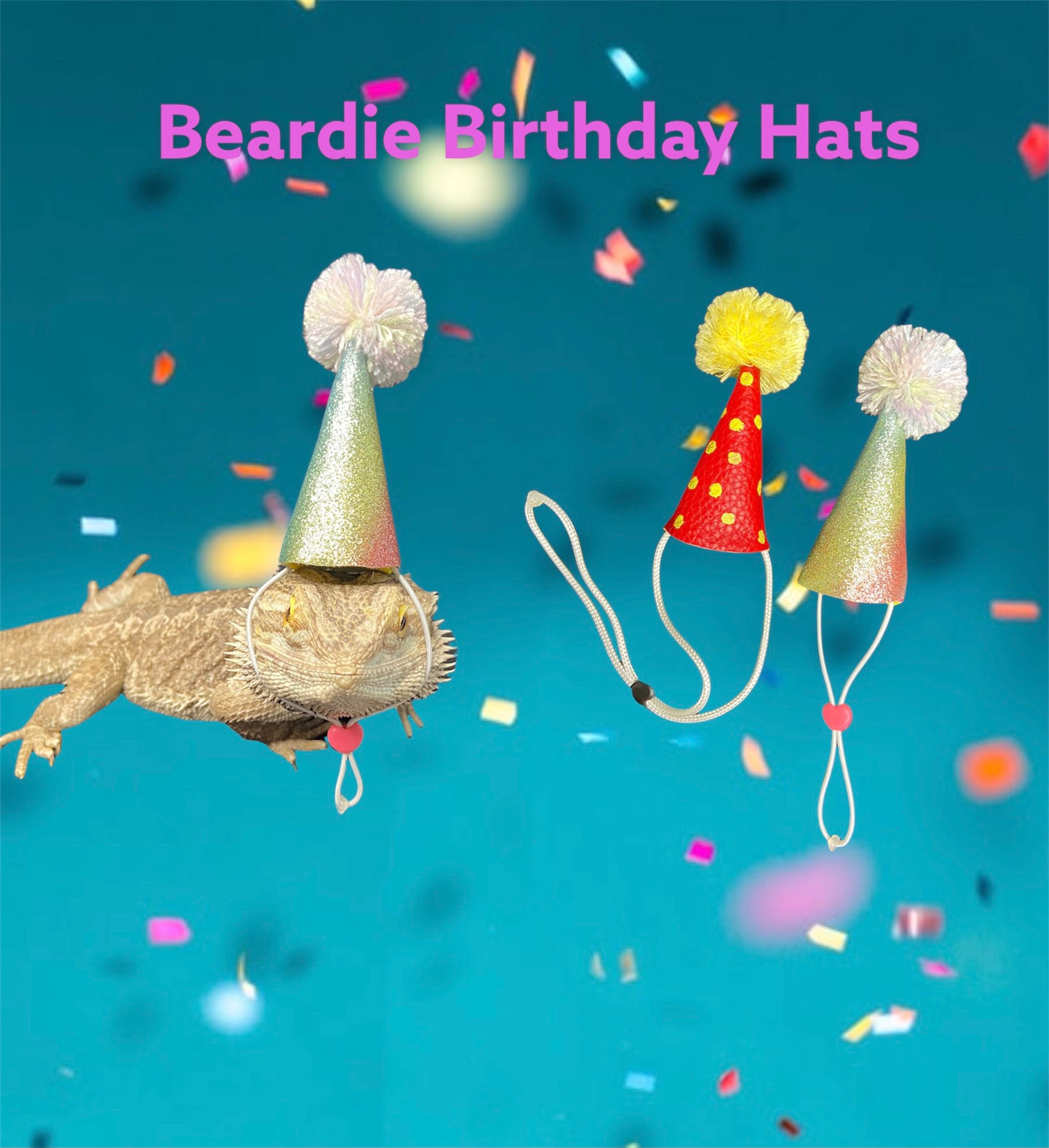 Bearded Dragon Birthday Hats Super Durable and Adjustable | Etsy