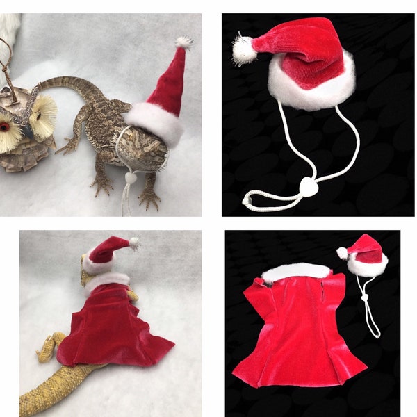 Bearded Dragon - Etsy