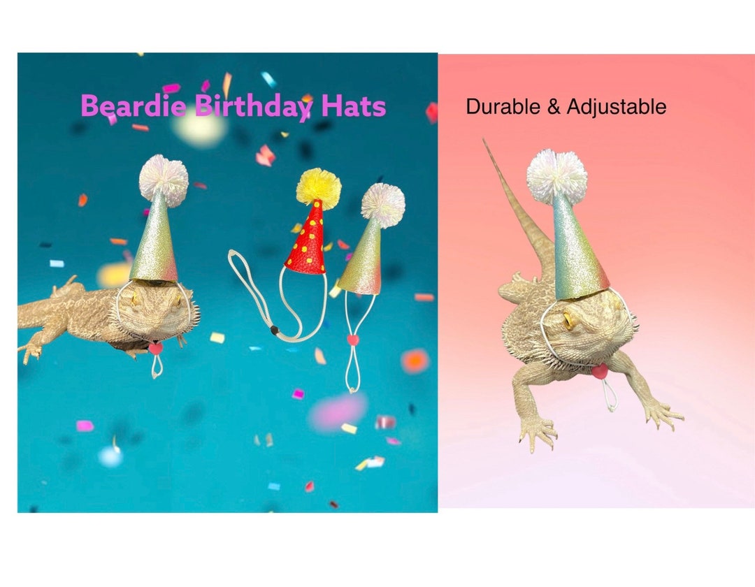 Bearded Dragon Birthday Hats! Super Durable and Adjustable! - Etsy