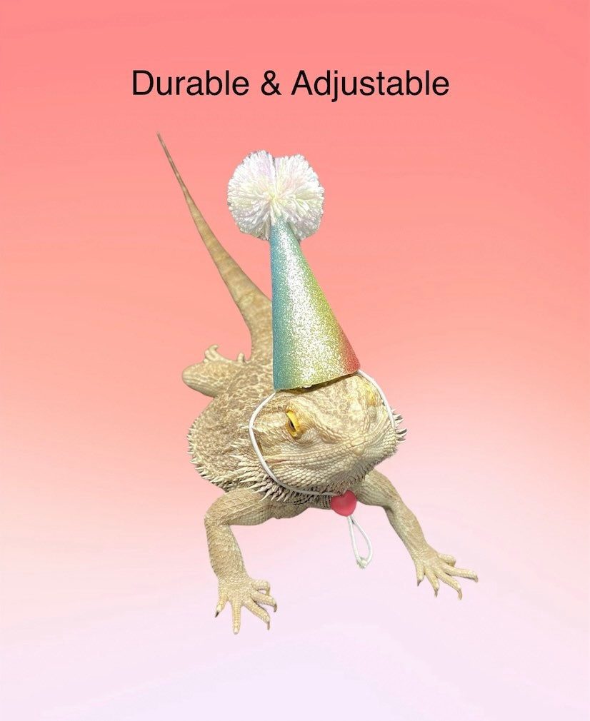 Bearded Dragon Birthday Hats Super Durable and Adjustable | Etsy