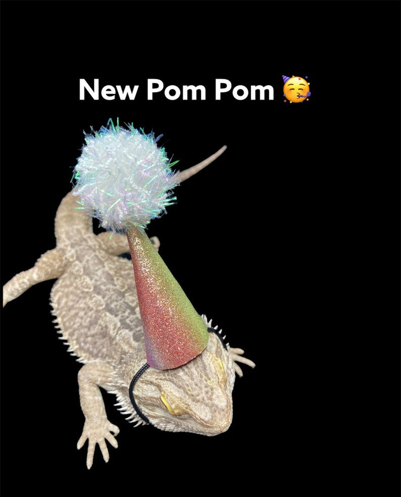 Bearded Dragon Birthday Hats Super Durable and Adjustable - Etsy