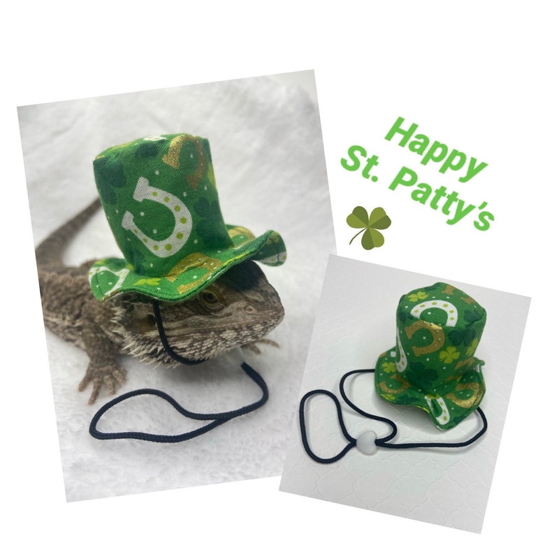 Lizard Costume - Etsy