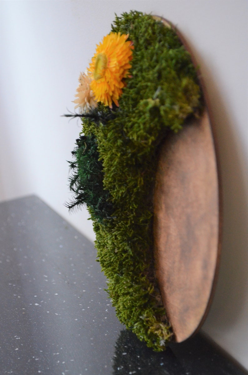 Round Moss Art Work Moss Decoration Green Wall - Etsy