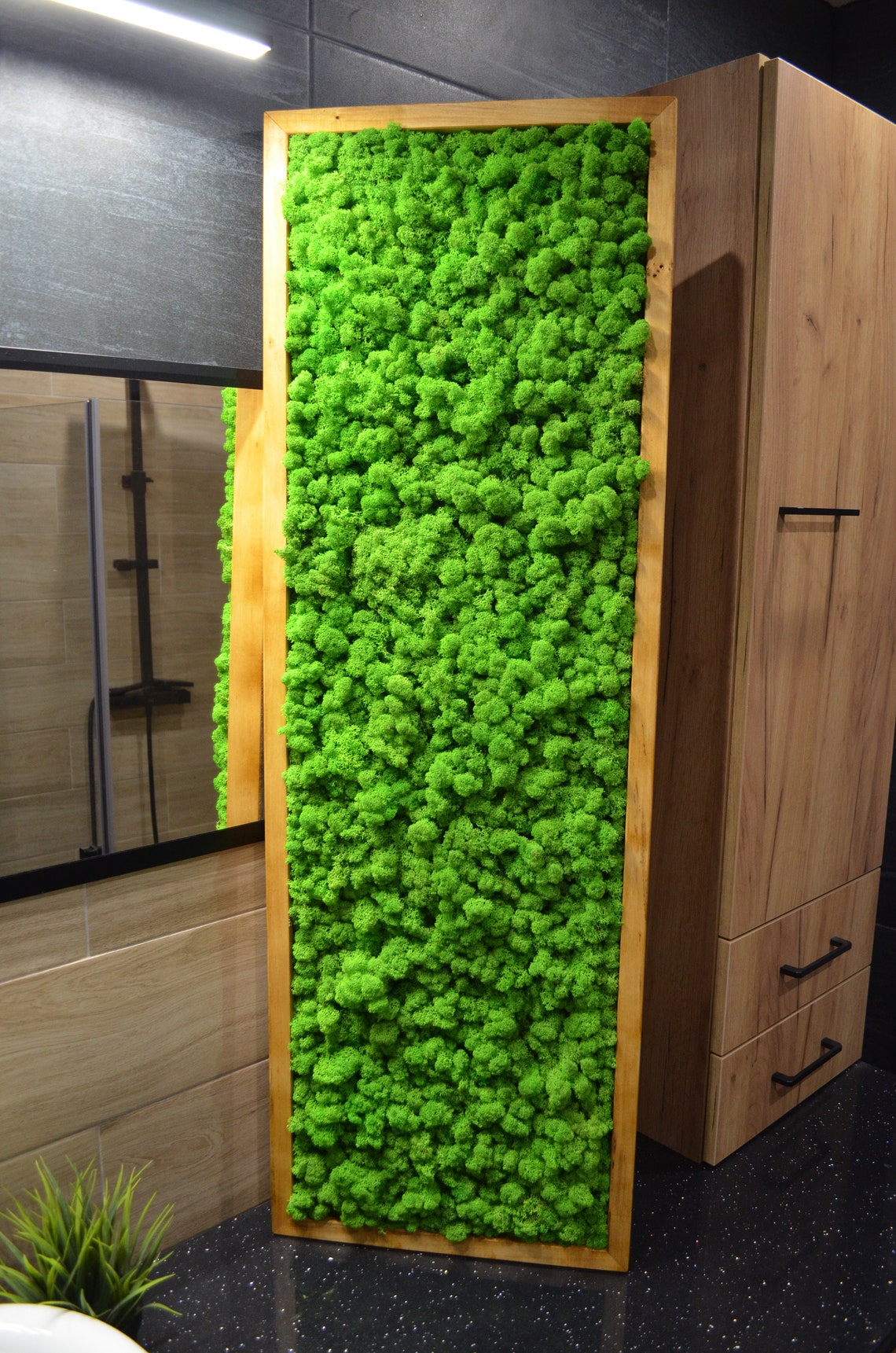 Moss Frame Moss Wall 120x40 Moss Wall Art Real Moss - Etsy