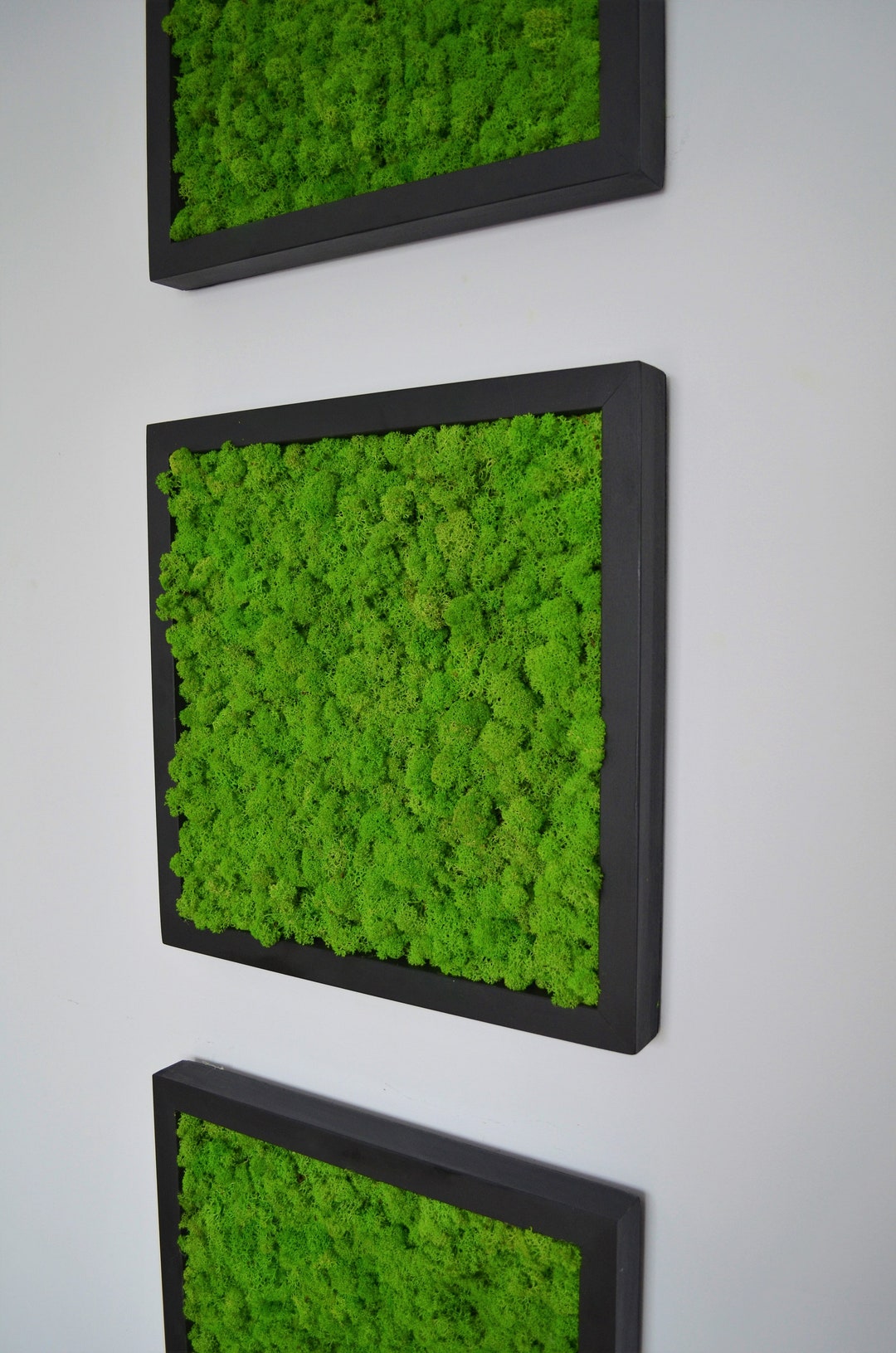 Set of 3 Moss Frames, Moss Wall, 3x40x40, Moss Wall Art, Real Moss ...