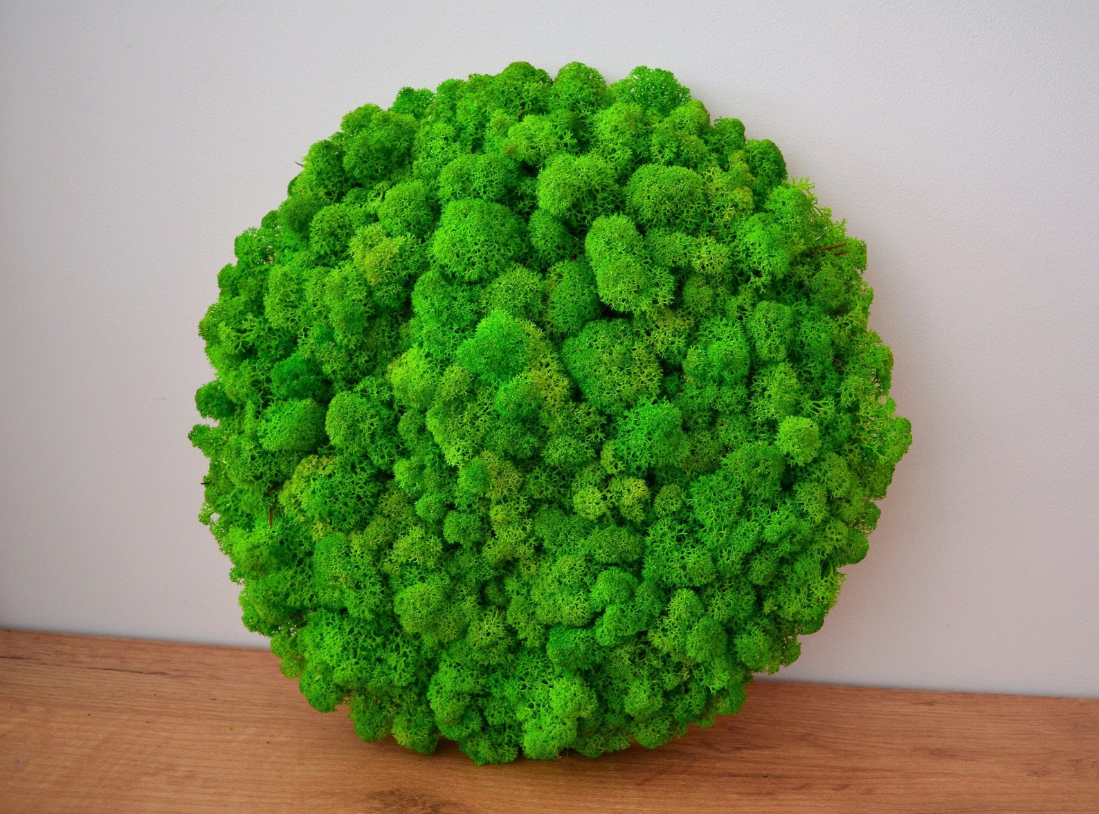 Round Moss Art Work Moss Decoration Green Wall - Etsy