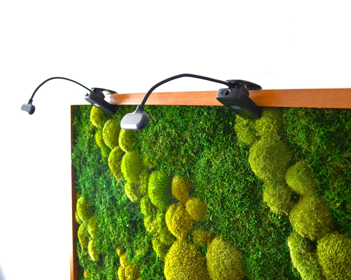 Led Art Wall Art Preserved Moss Lighted Moss Wall Beautiful Preserved ...