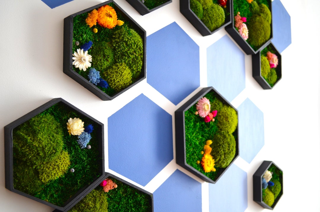 Set of 9 Hexagons With Mounting Tapes. Easy Assembly Hexagons Honeycomb ...