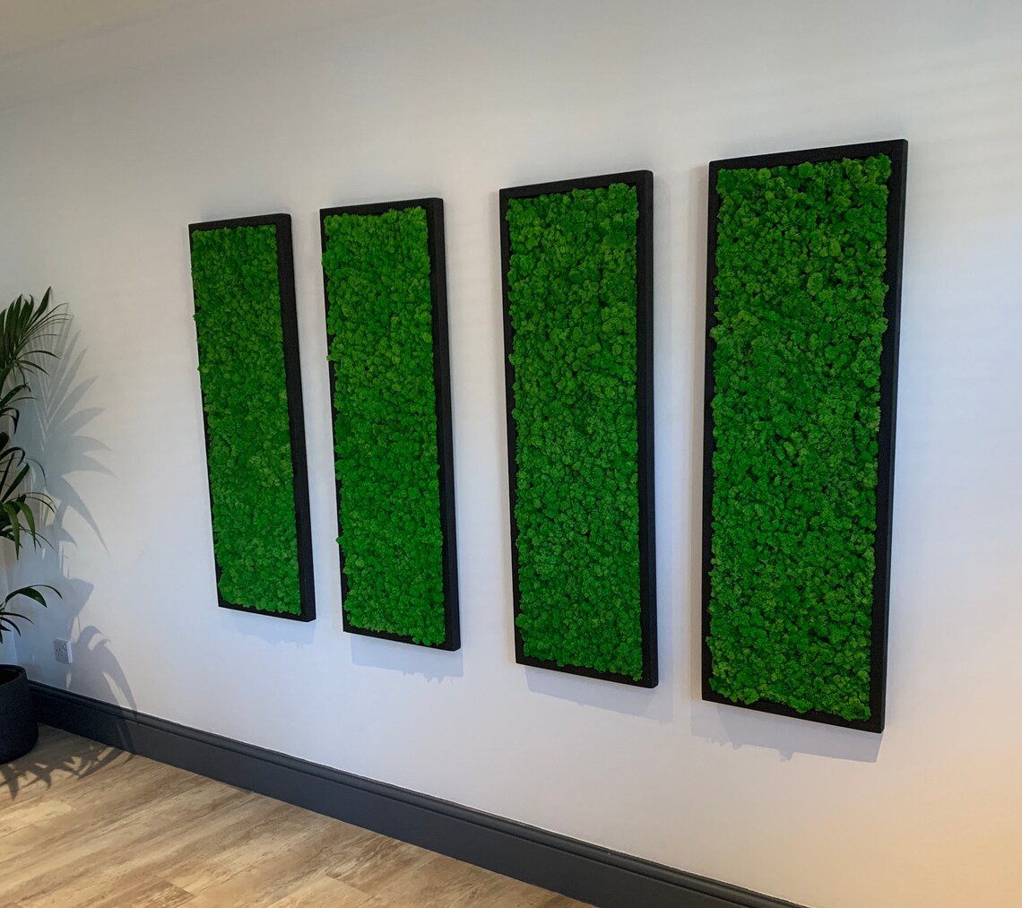 Wall Art.nature Room Decor. Modern Wall Art Real Moss. Moss Frame ...