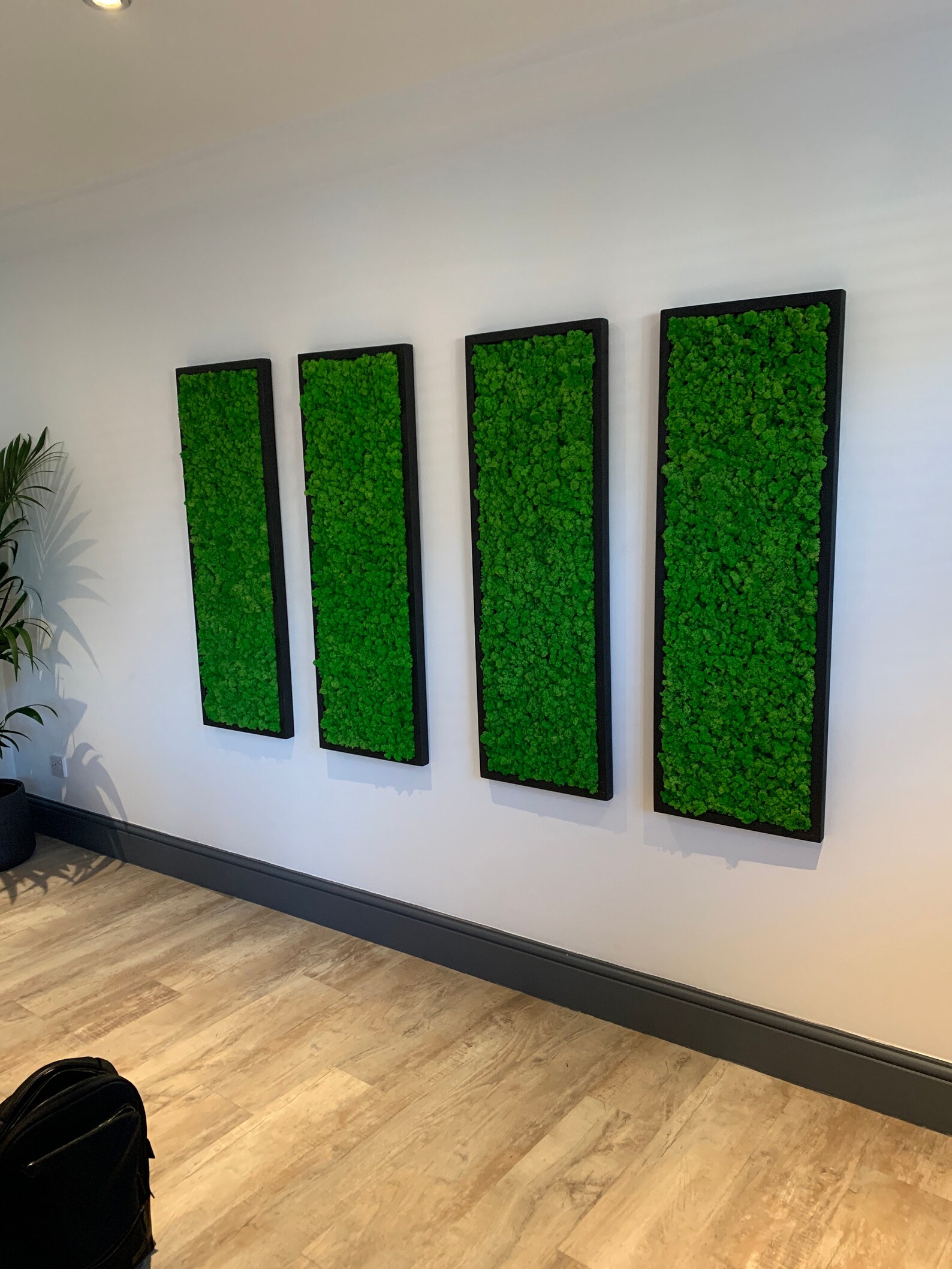 Moss Frame, Moss Wall, 47x16'', Moss Wall Art, Real Moss, Nature Room ...