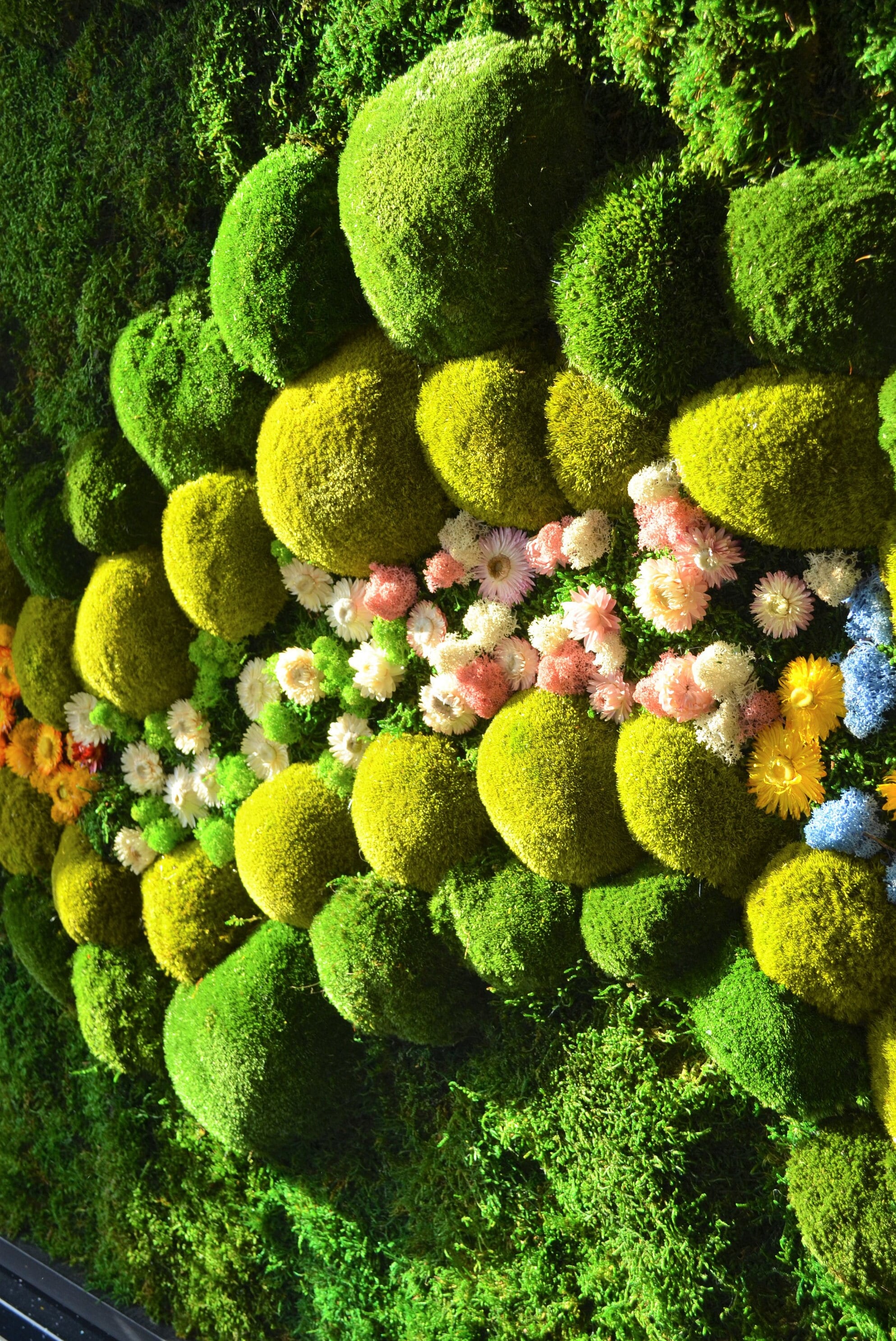 Amazing Moss Art. Lighted Moss Wall Beautiful Preserved Moss - Etsy